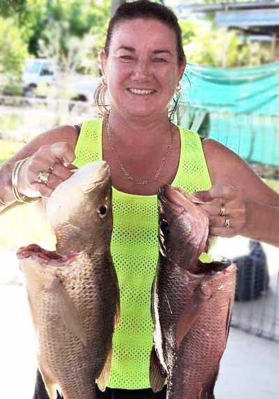 TONI BEASLEY (nee Collier) | Funeral Notices | Townsville | My Tributes