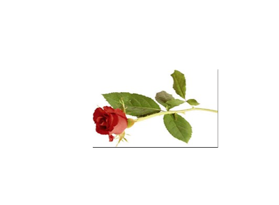 ZUNKER, Kevin Edward | Death Notices | | My Tributes