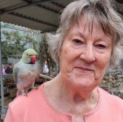 Aileen Coyle's Instagram, Twitter & Facebook on IDCrawl