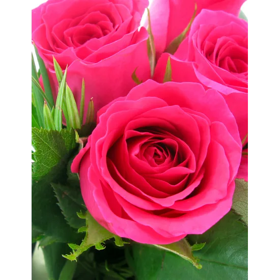 PATTERSON, Annette Marie | Death Notices | Adelaide | My Tributes