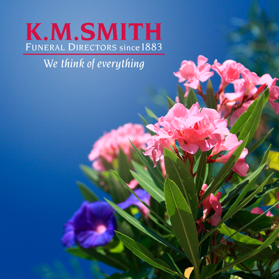 MOY, Pamela Helen | Funeral Notices | Brisbane | My Tributes