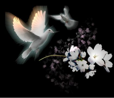 Tributes & Condolences - in memoriam | Page 1 | Herald Sun