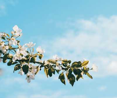 Obituaries, Funeral and Death Notices in Australia | page 2 | My Tributes