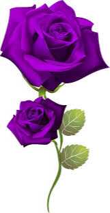 My Tributes | Australia's trusted obituary, death and funeral notice ...