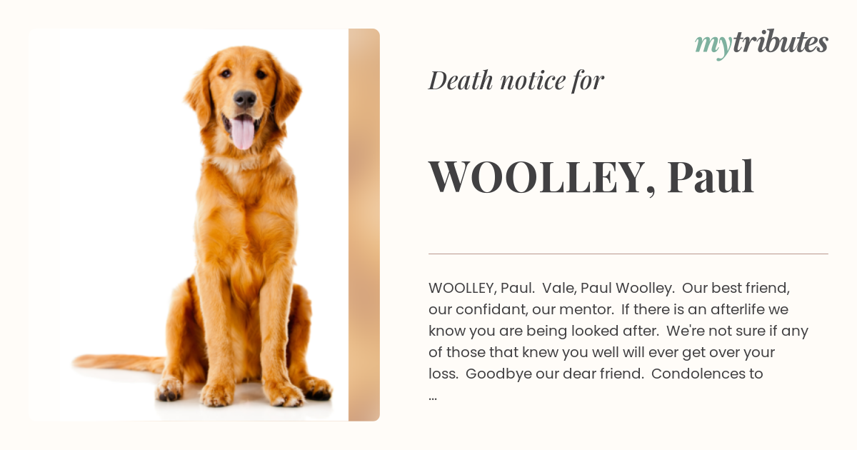WOOLLEY, Paul | Death Notices | Tasmania | The Mercury