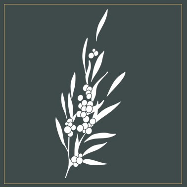 SCHEID, Michael John Pierce | Funeral Notices | Adelaide | My Tributes