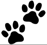 SCHEID, Michael John Pierce | Death Notices | Adelaide | My Tributes