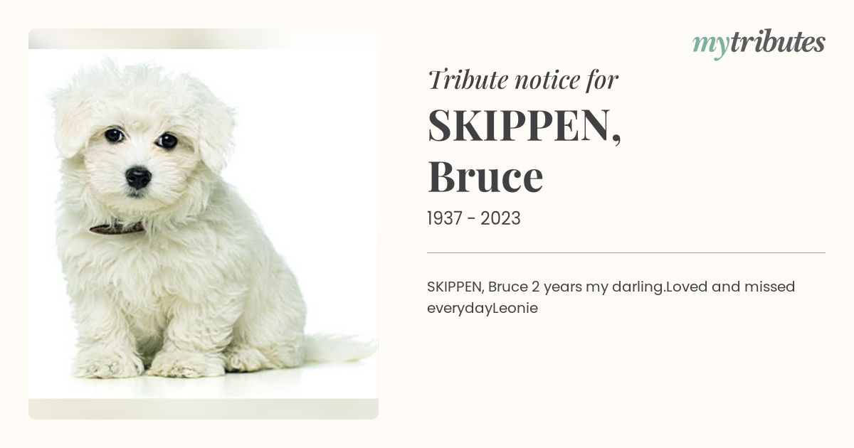 SKIPPEN, Bruce | Tributes | Sydney | My Tributes