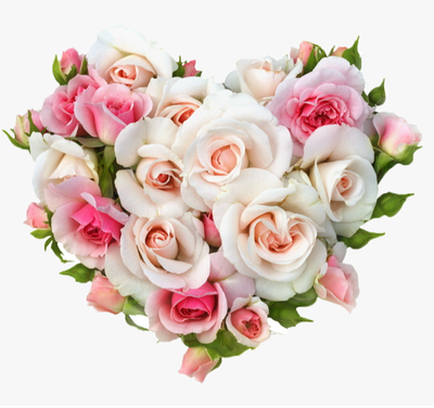 MORRISON, Patricia Maureen (Sister Angela) rsj | Death Notices ...