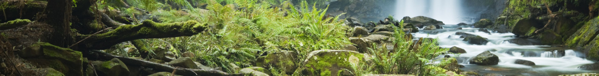 SEEBOHM, Peter James | Death Notices | Adelaide | My Tributes