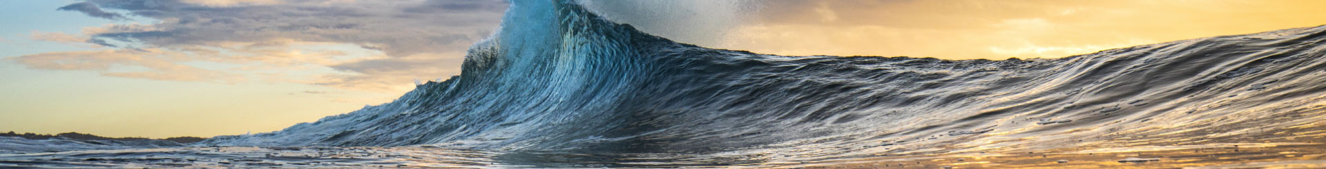 BULLOCK, Lynette June | Death Notices | Geelong | Geelong Advertiser