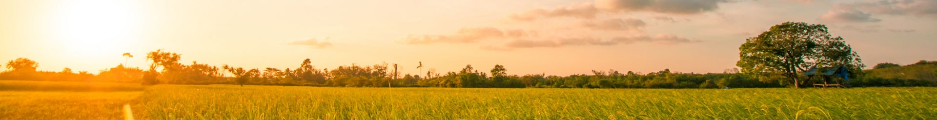 HANNAN, David Charles | Funeral Notices | Melbourne | Herald Sun