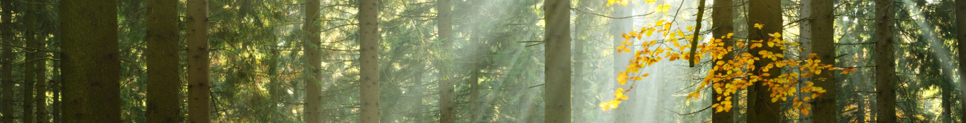 LEES, Ian Maurice | Death Notices | Melbourne | Herald Sun