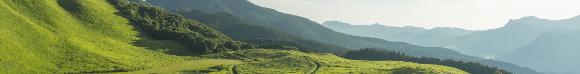 SEGRETO, Michael | Funeral Notices | Sydney | My Tributes